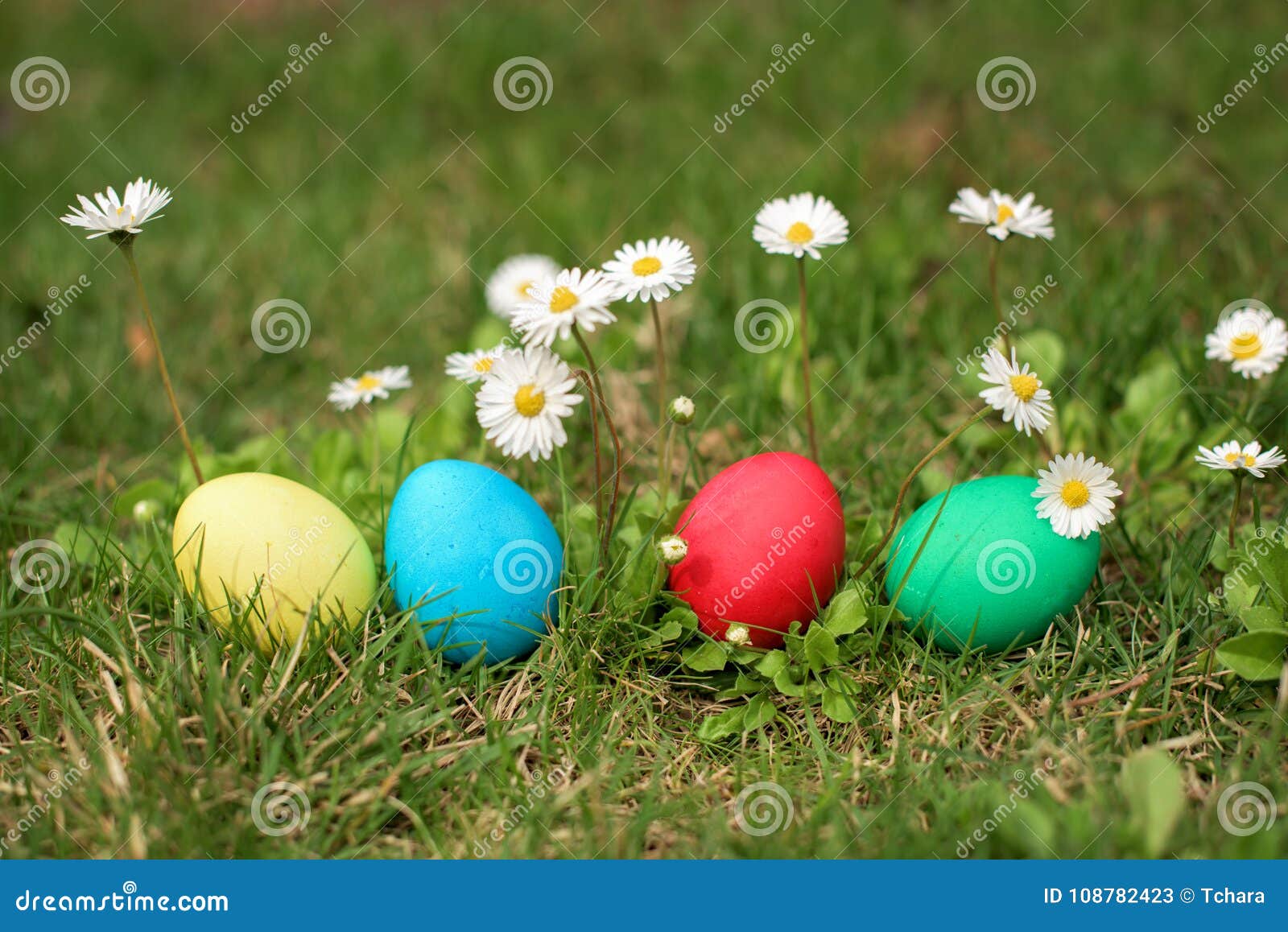 Easter egs in a row stock image. Image of concept, holiday - 108782423