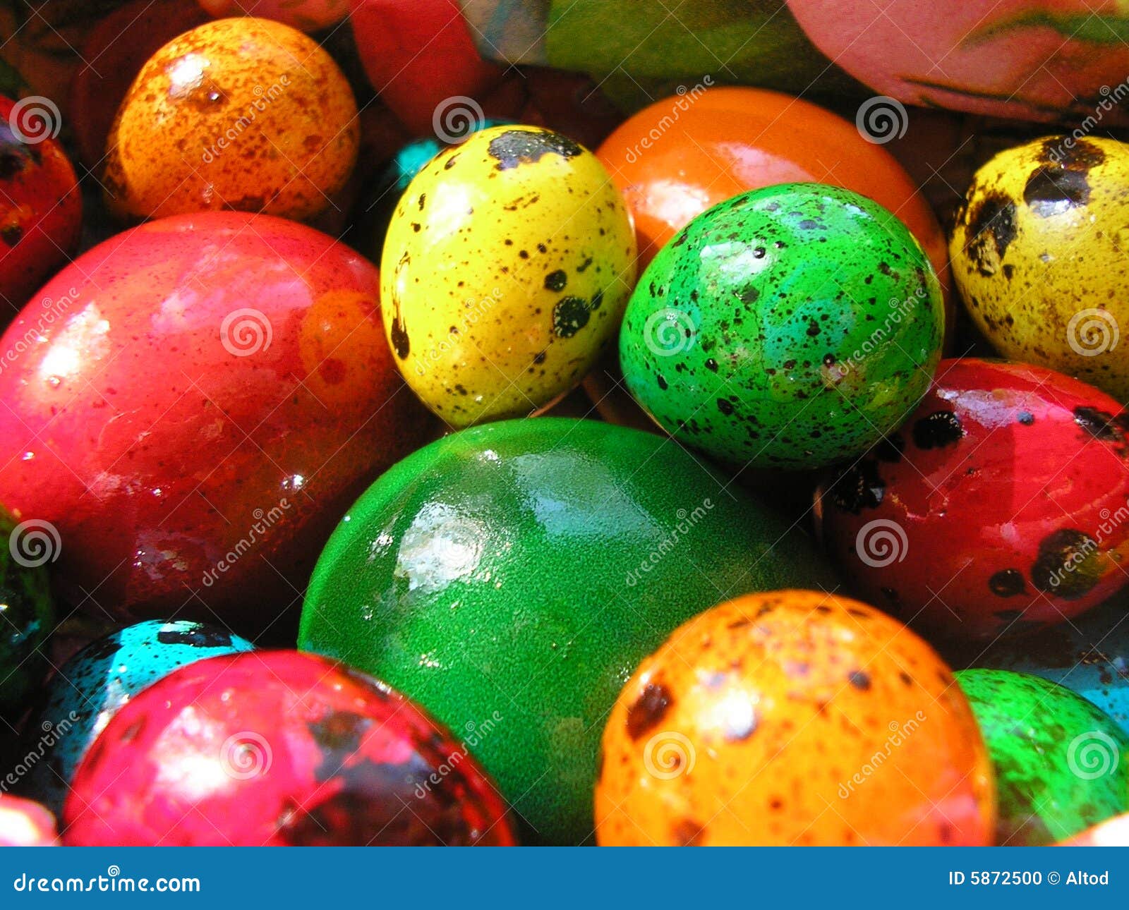 Easter Fest Picture. Image: 5872500