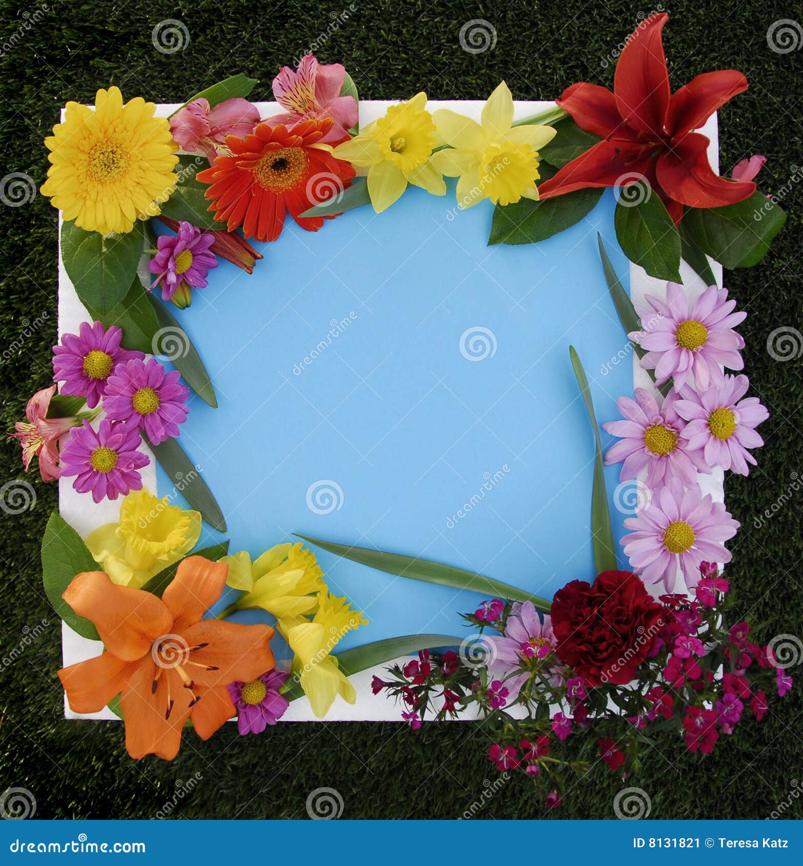 Easter Flower Frame stock image. Image of botanical, daisy - 8131821