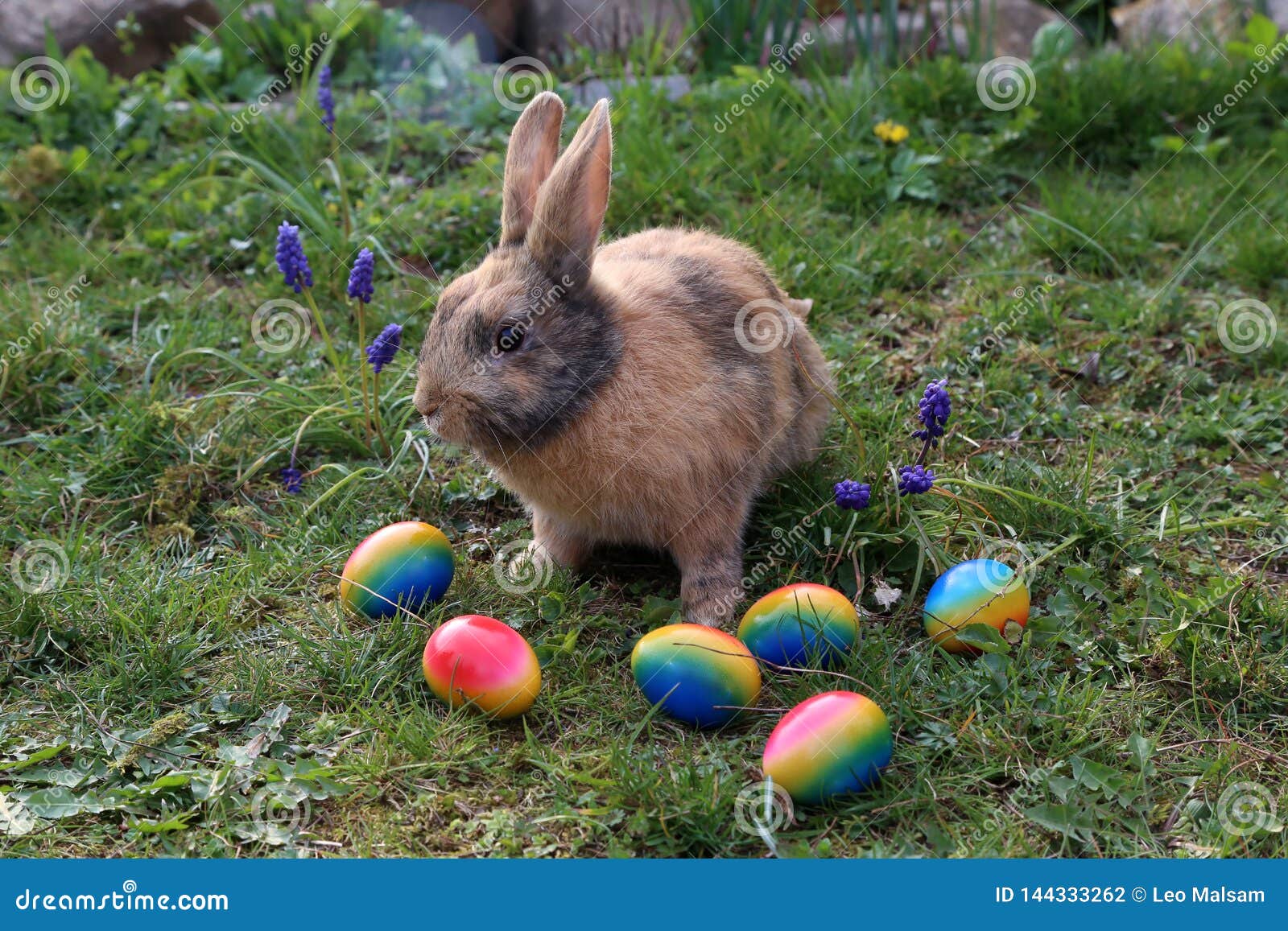 Funny Little Bunnies among Easter Eggs on the Grass Stock Photo - Image ...