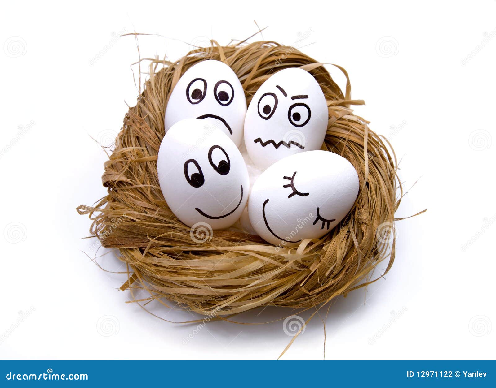 Easter funny eggs in nest stock photo. Image of eating - 12971122
