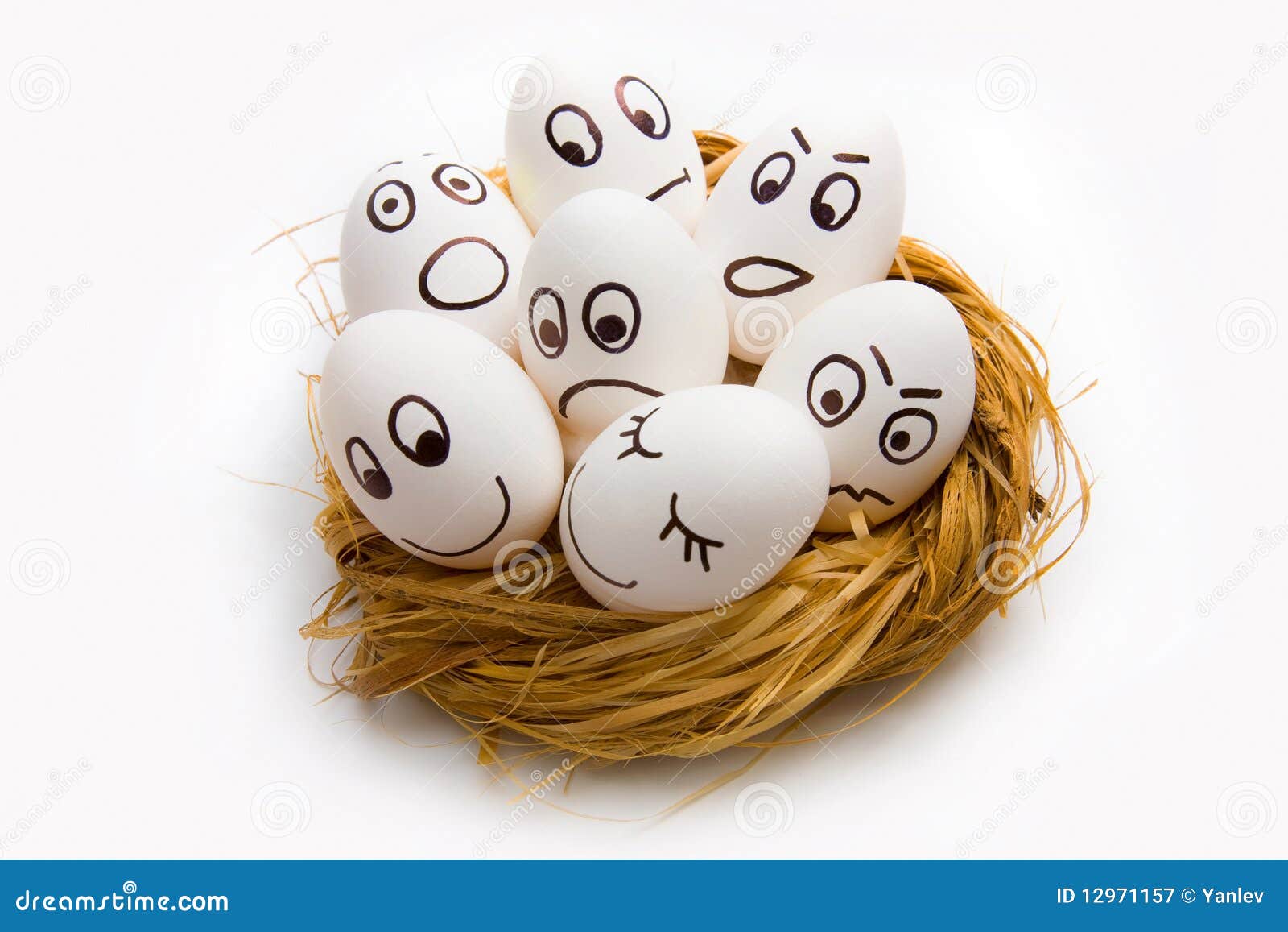 Easter funny eggs in nest stock image. Image of laughing - 12971157