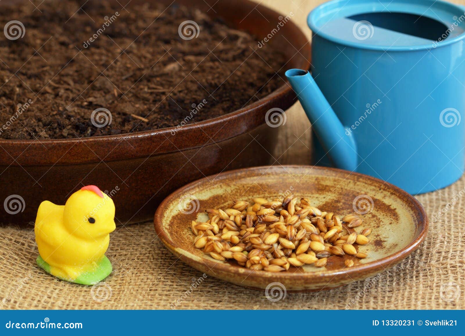 For Easter Green Crop Get Ready Soil and Seeds Stock Image - Image of ...