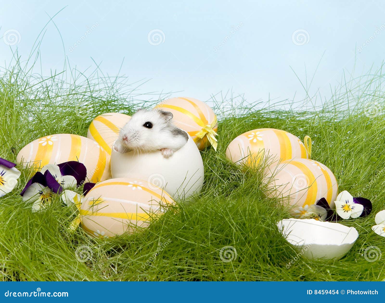 Easter hamster stock photo. Image of spring, springtime - 8459454