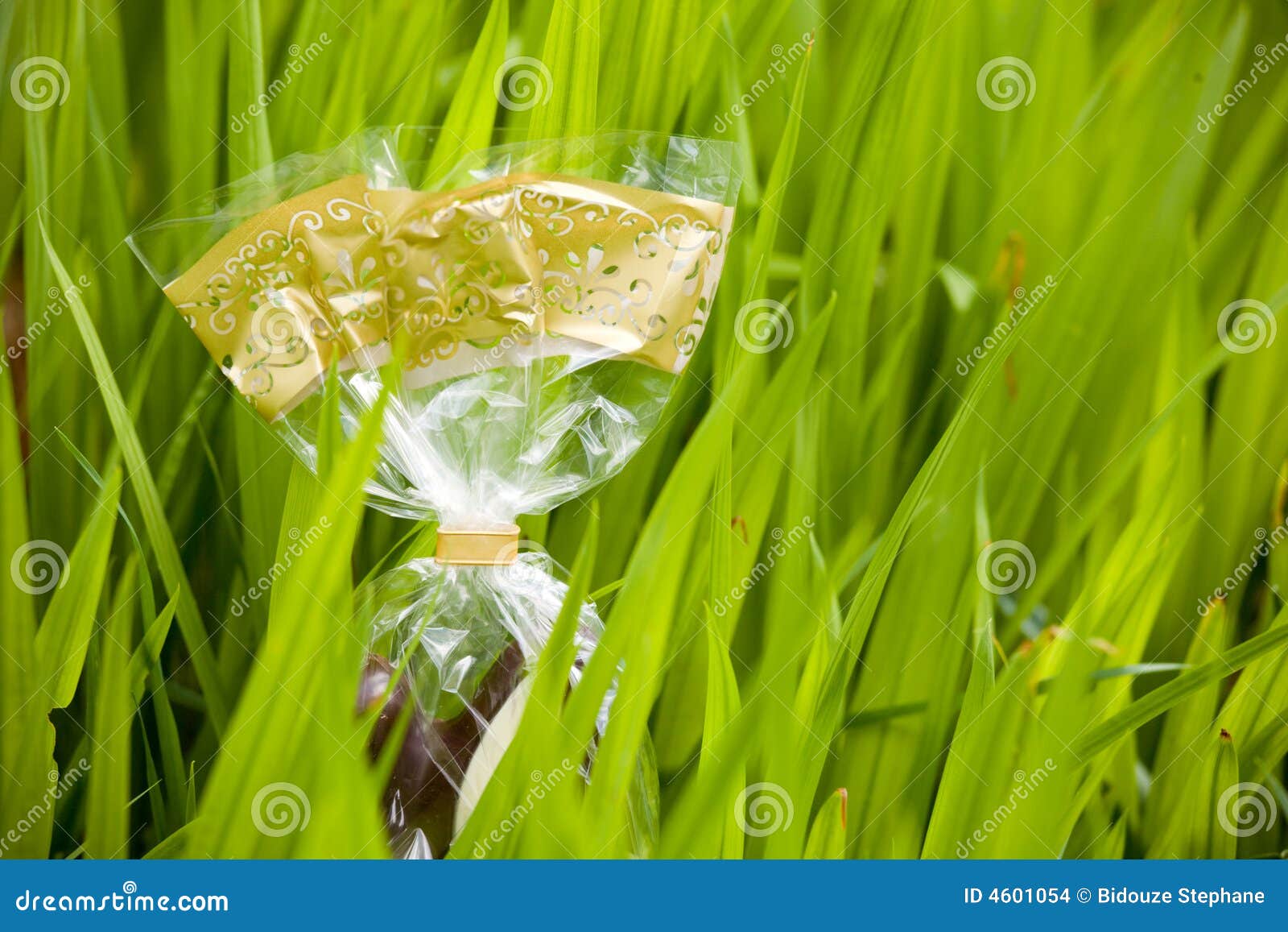 Easter hidden present stock photo. Image of celebrate - 4601054