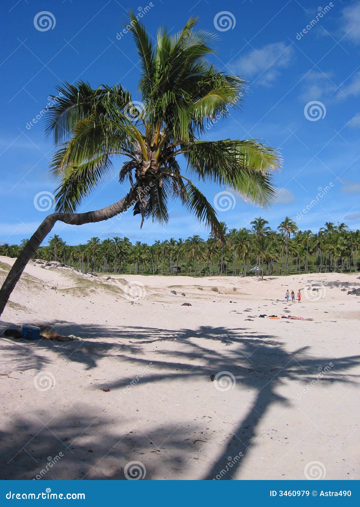 Easter Island stock image. Image of anakena, coast, heaven - 3460979