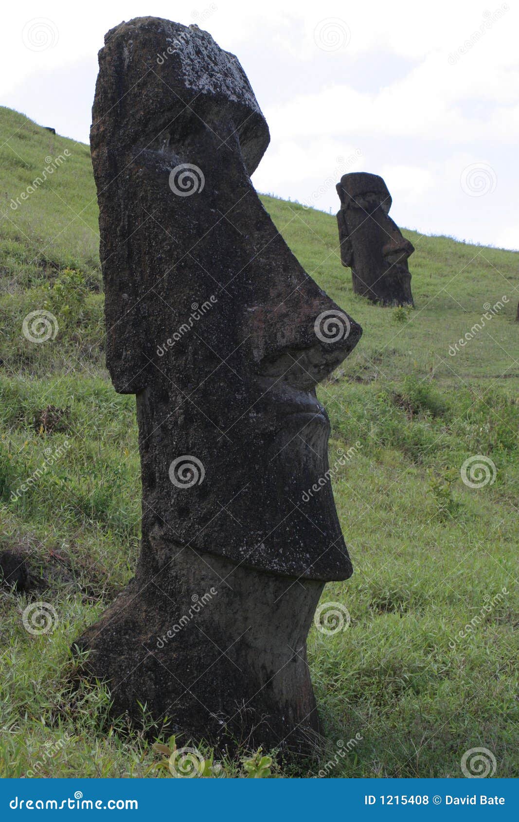 Royalty Free Images, Cartoons, Illustrations And Photos Designed By Contributor Firstfrog ...