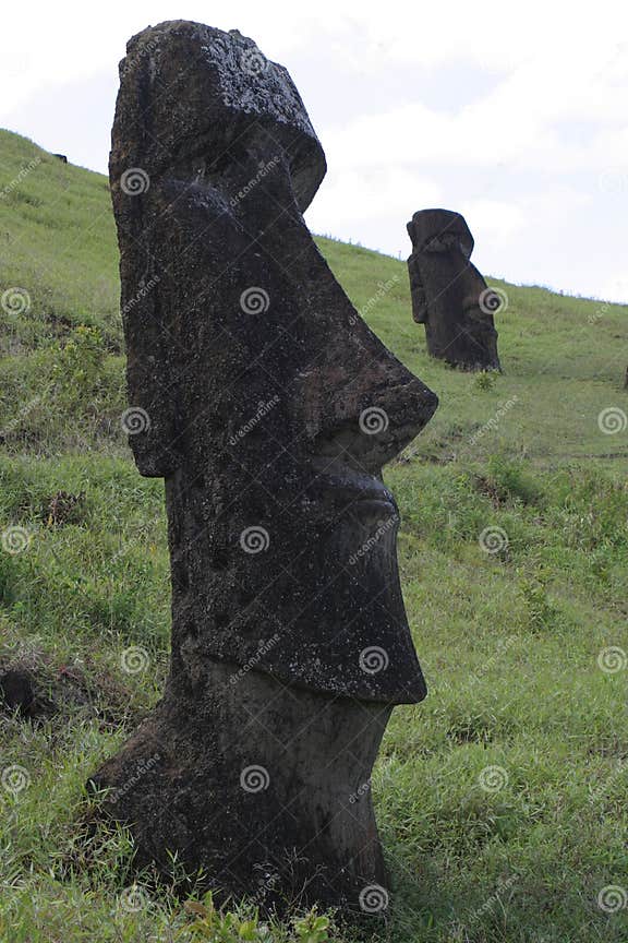 Easter Island Face stock photo. Image of solemn, moai - 1215408