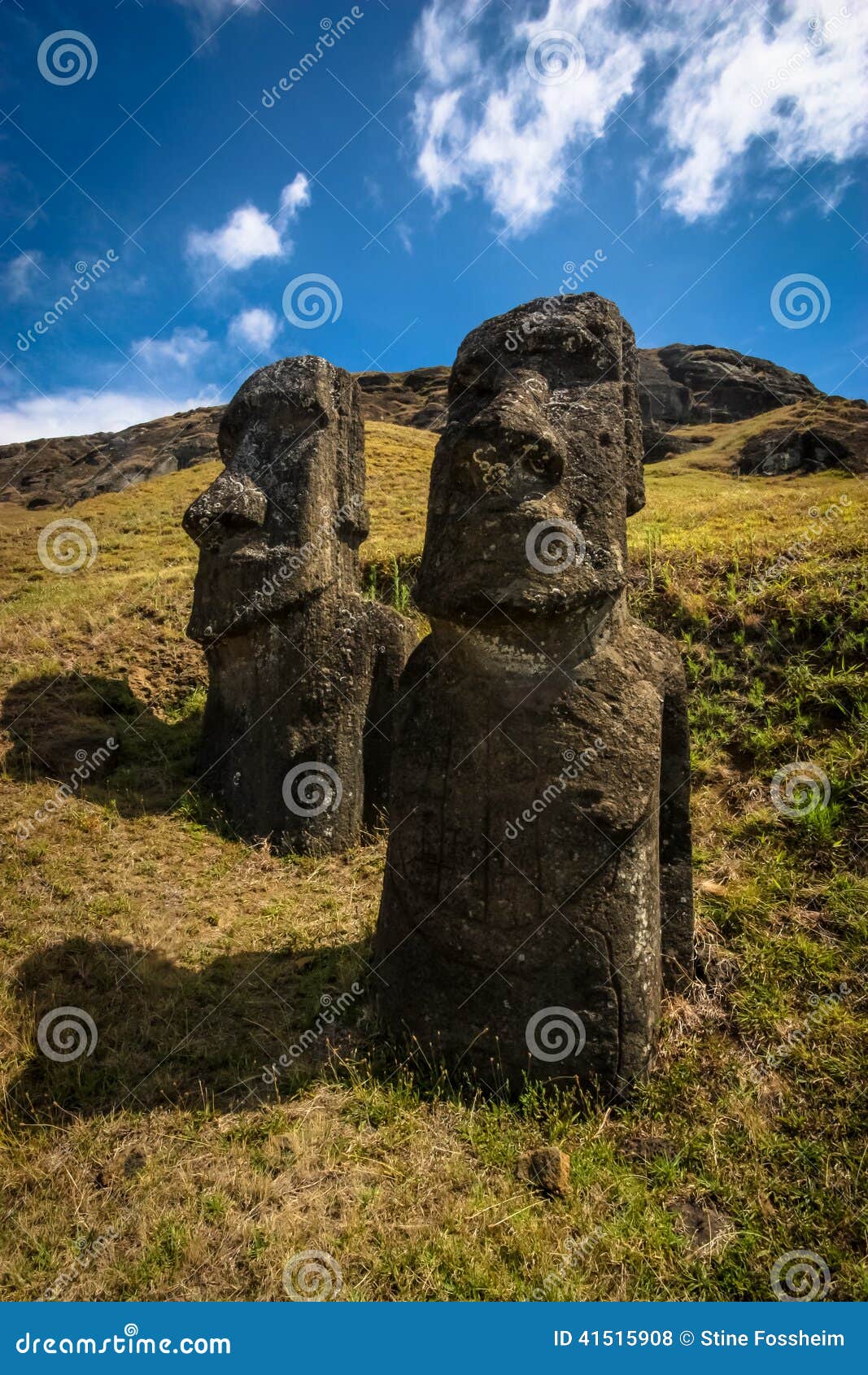 Unfinished Moai Statue Being Carved At Rano Raraku Volcano Quarry In ...