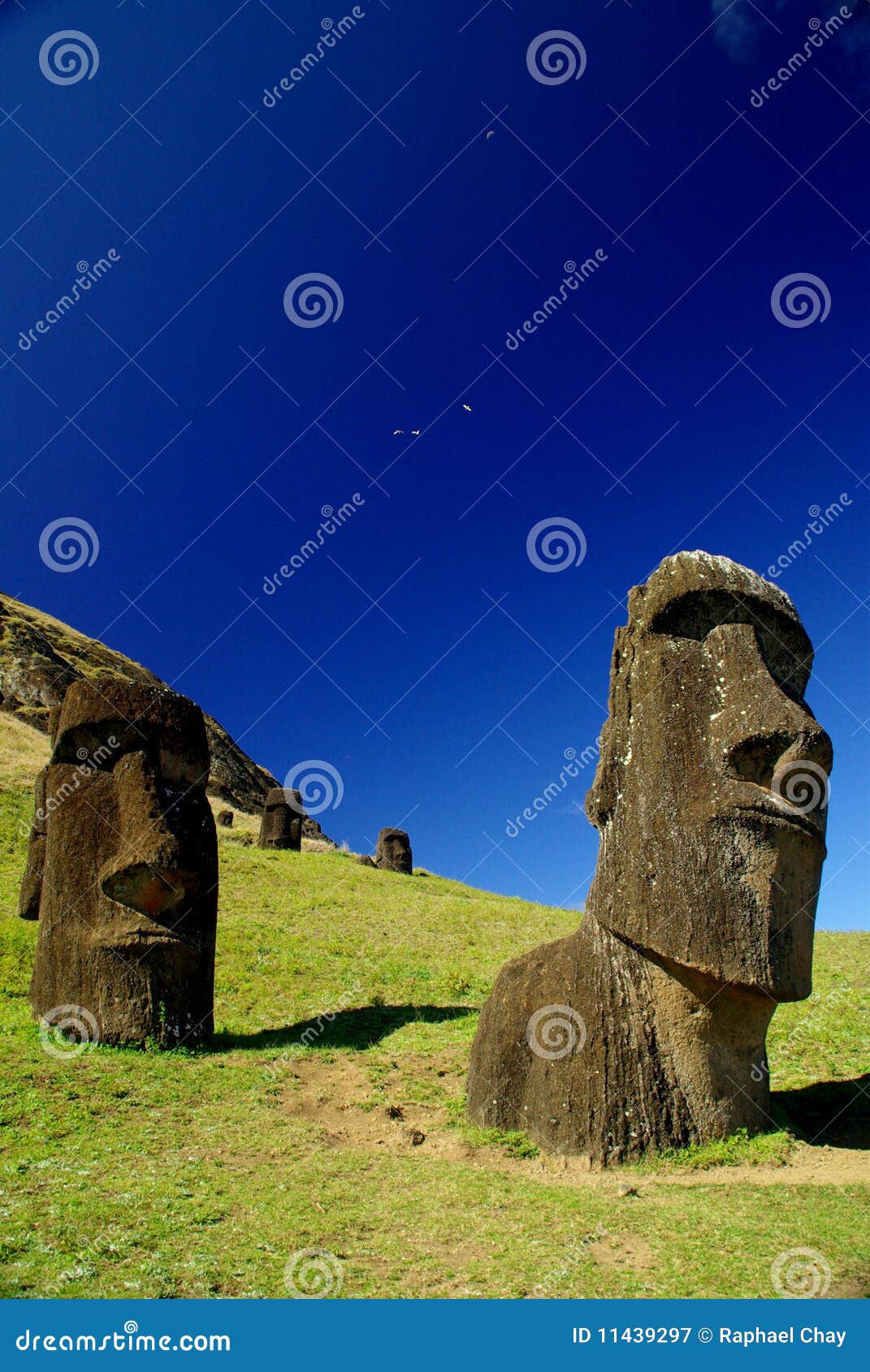 Easter Island Statues stock image. Image of statues, mohai - 11439297