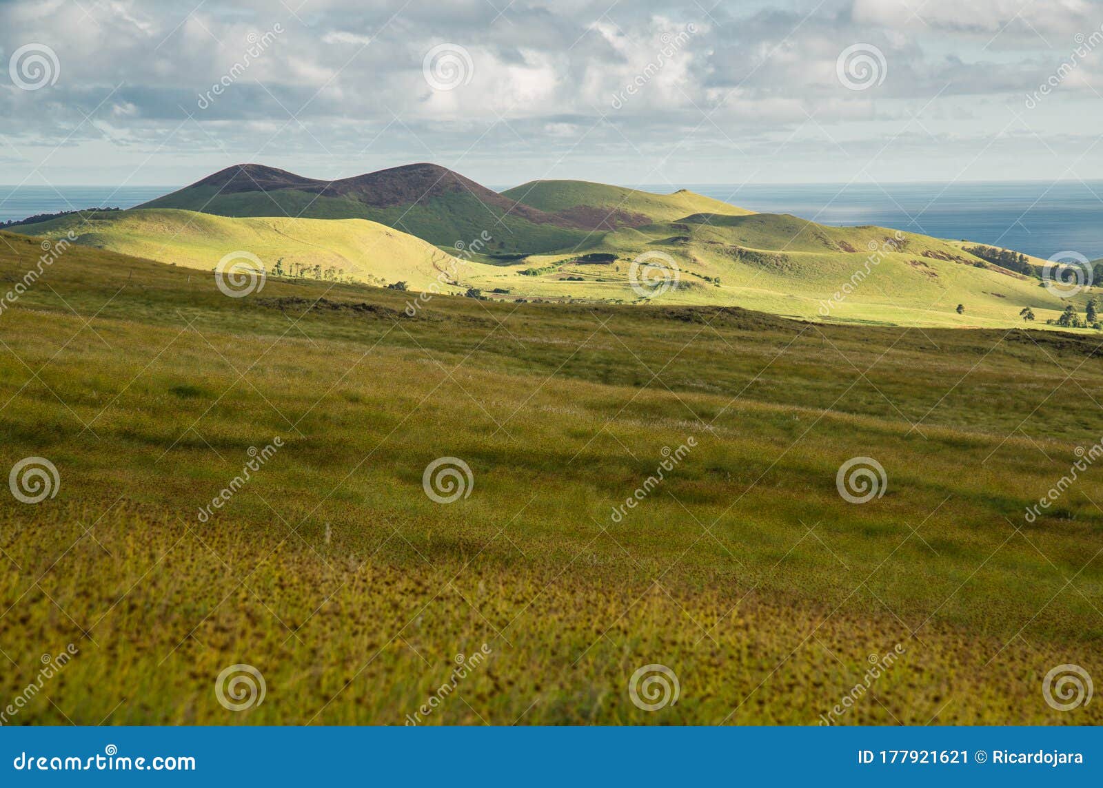 Easter Island view stock image. Image of easter, island - 177921621