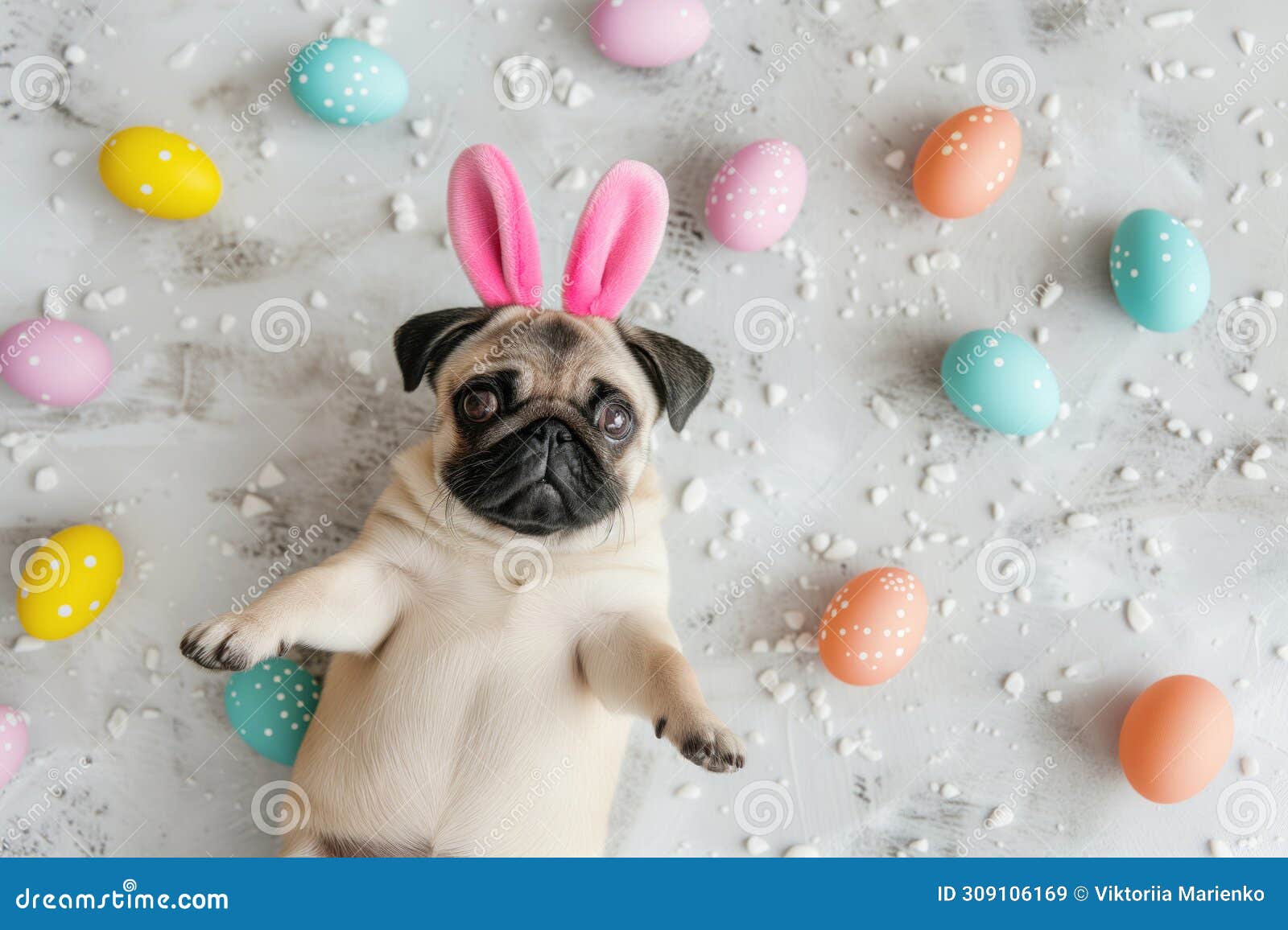 Easter Joy with Dog Pug: Rabbit Ears, Colored Eggs - Festive Concept ...