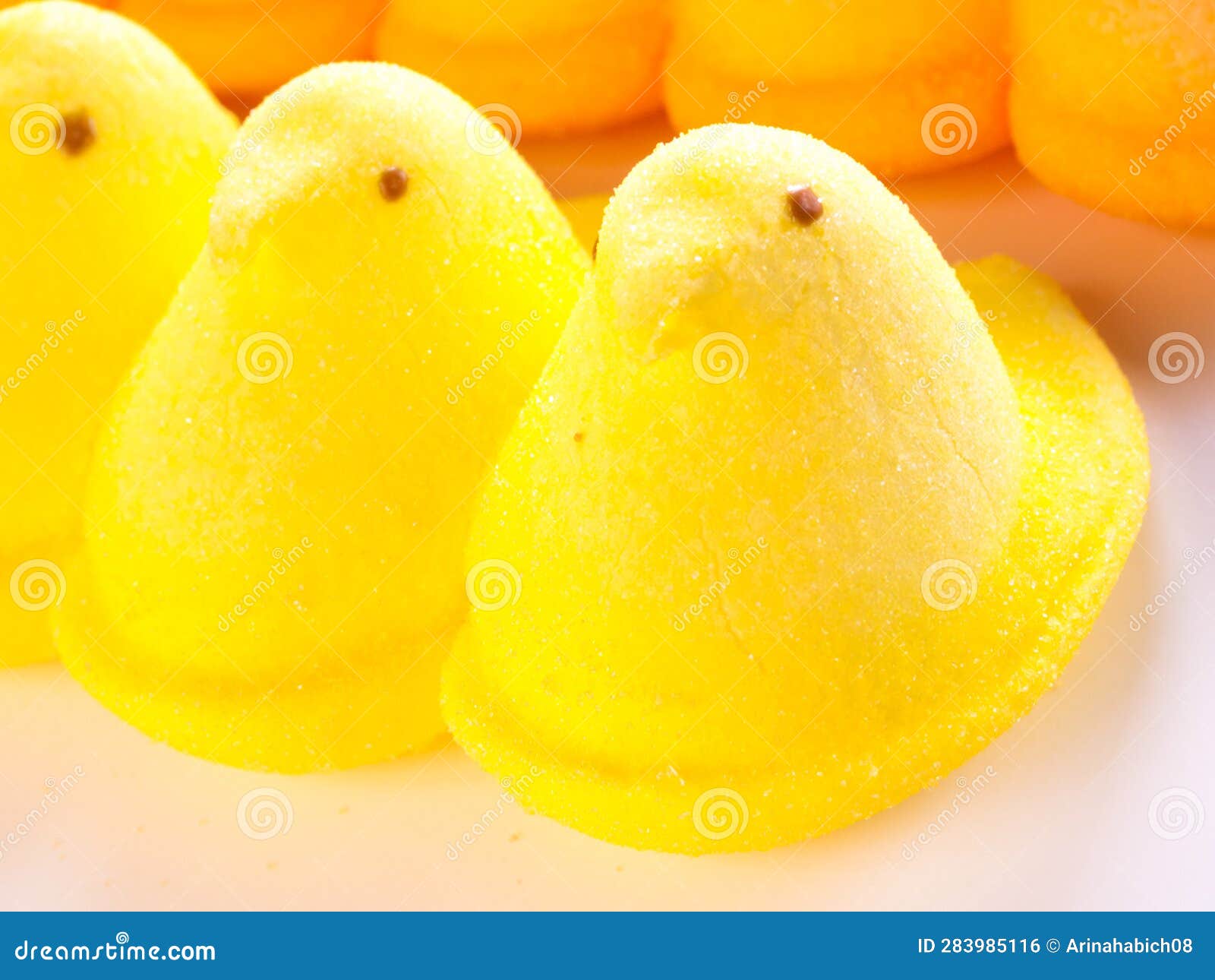 Marshmallow Chicks stock photo. Image of easter, nature - 283985116