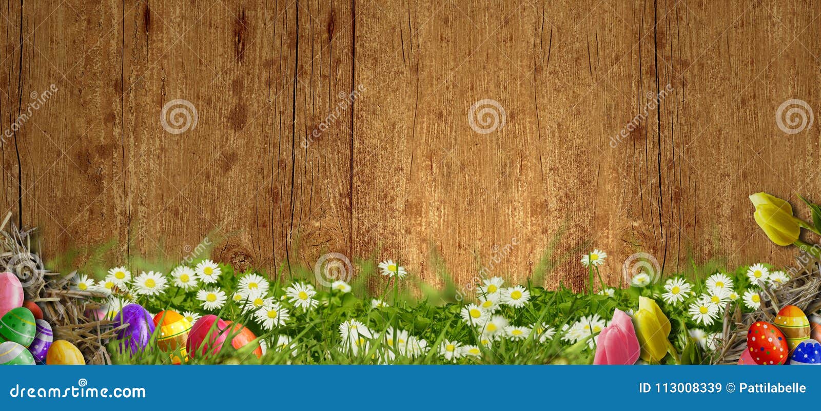 Easter - Meadow with Easter Eggs and Wood Background Stock Image ...