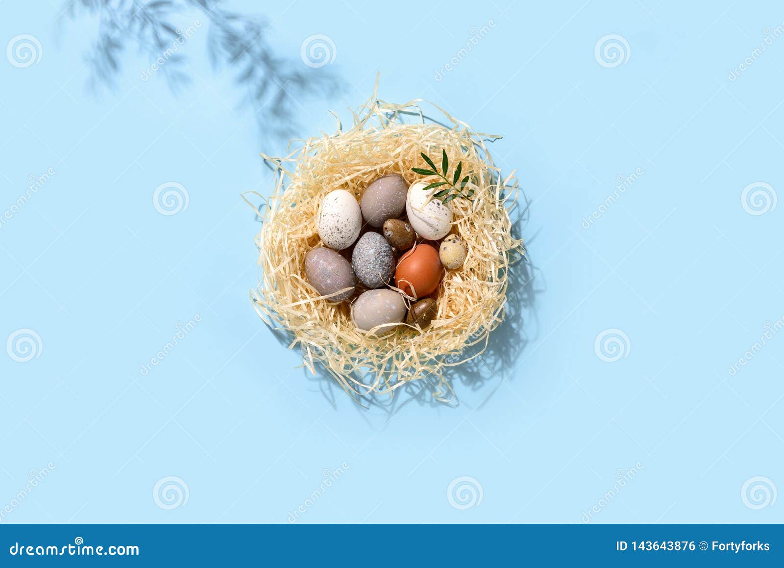 Easter Minimal Concept with Easter Eggs in a Nest Stock Photo - Image ...