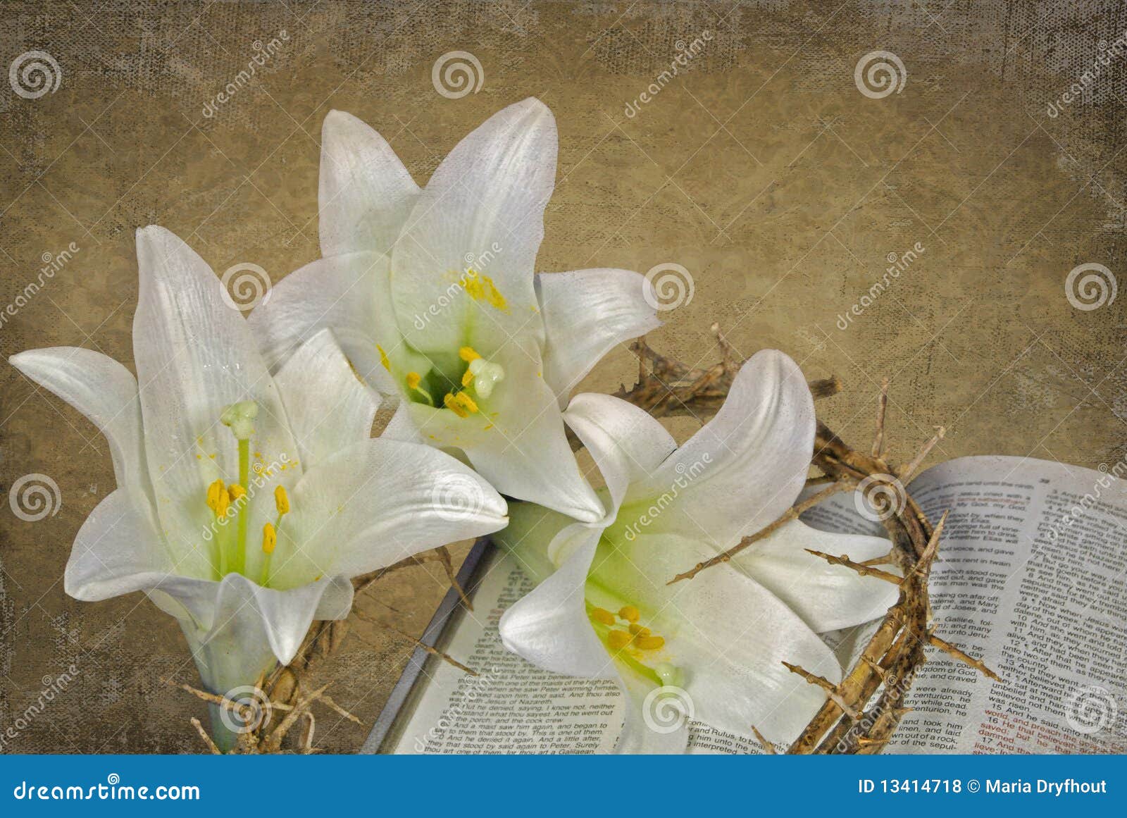 Easter Peace stock illustration. Illustration of texture - 13414718
