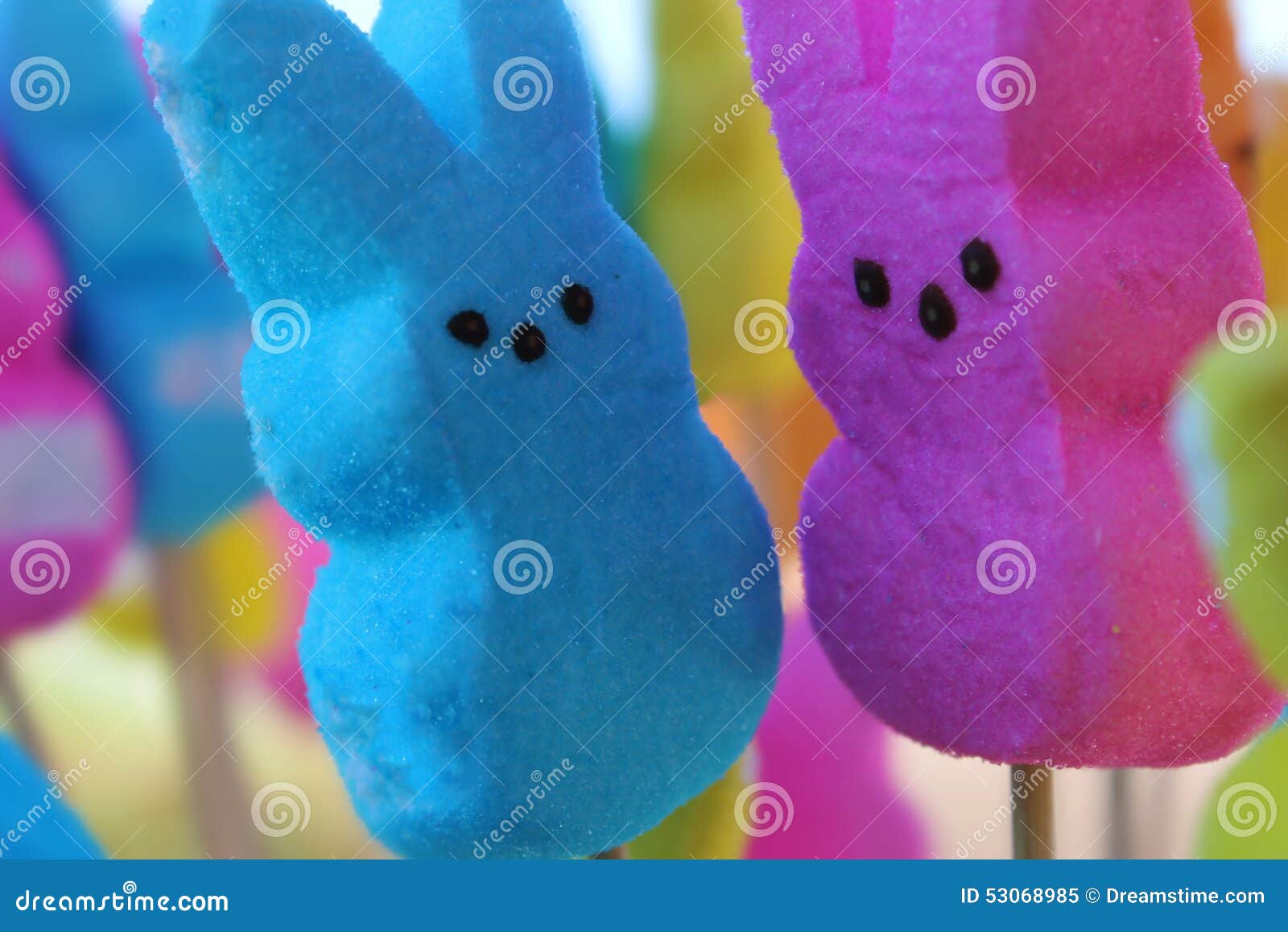 Easter peeps stock image. Image of nature, colorful, spring - 53068985