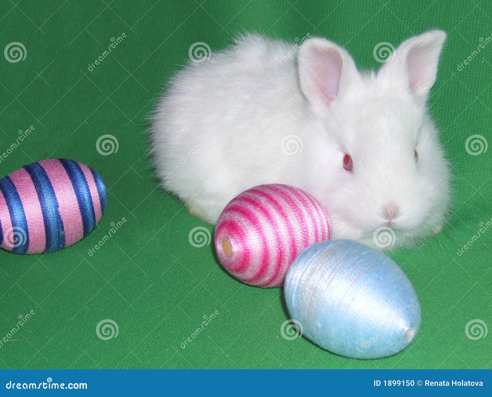 Easter rabbit stock photo. Image of multicolored, colorful - 1899150