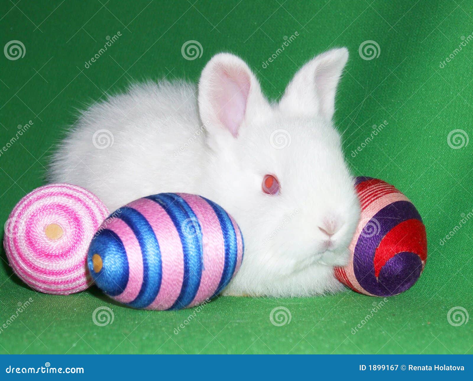 Easter rabbit stock image. Image of easter, colored, white - 1899167