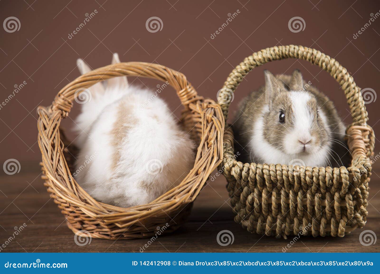 Easter rabbit in a basket. stock photo. Image of yellow - 142412908