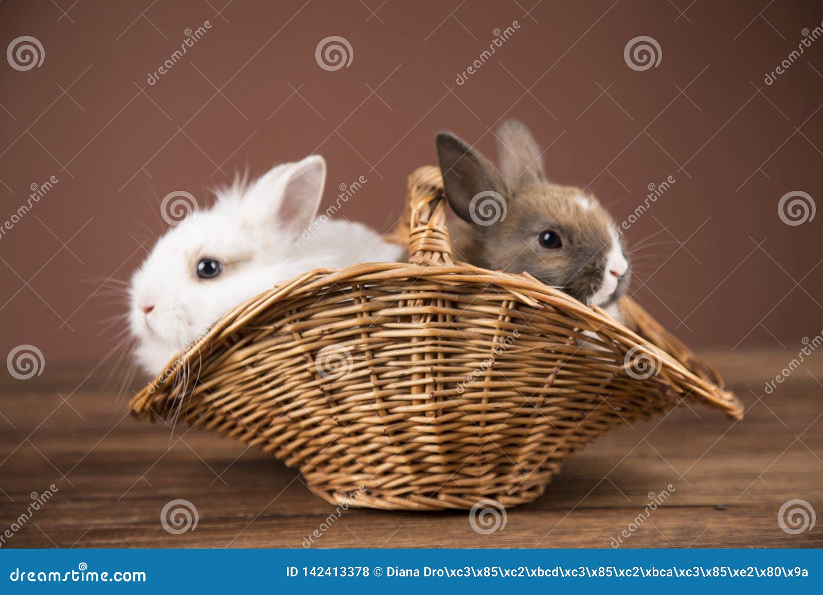 Easter rabbit in a basket. stock photo. Image of resurrection - 142413378