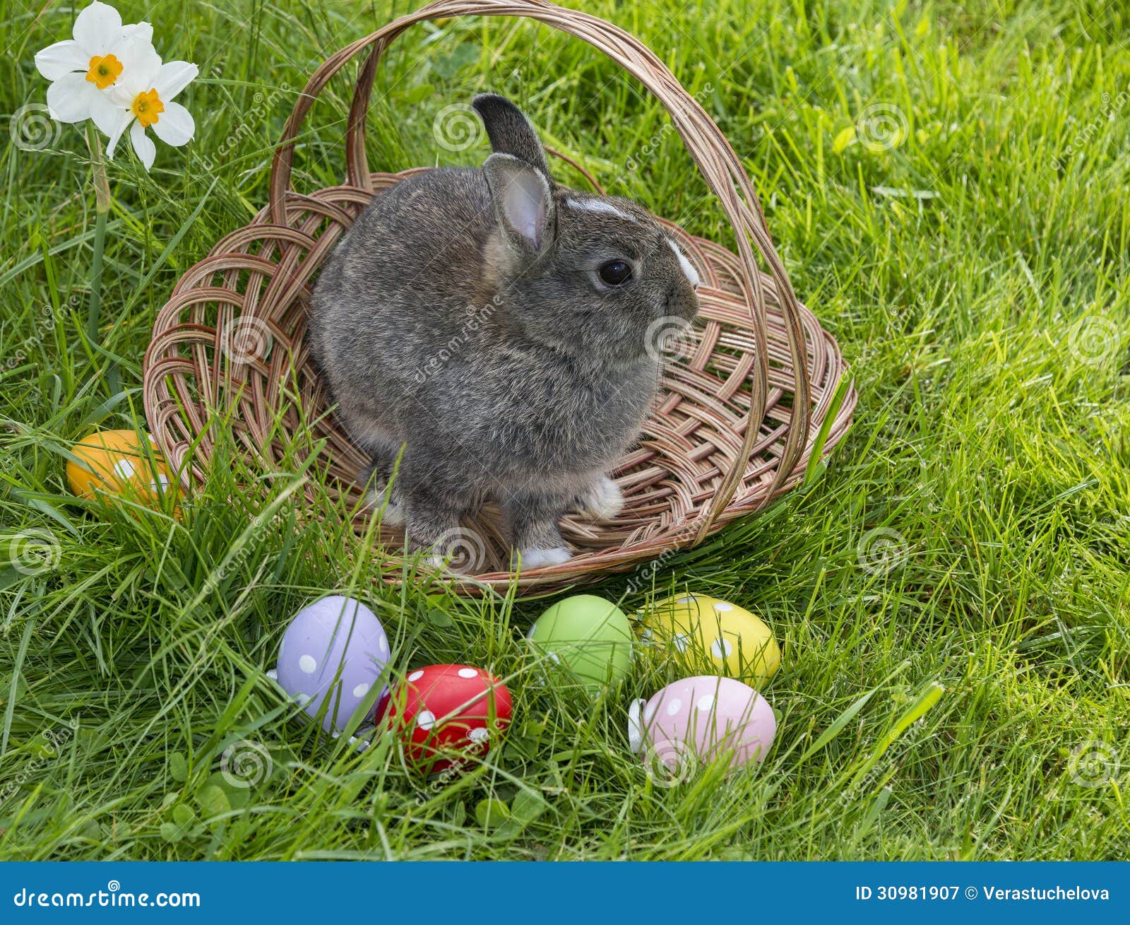 Easter rabbit in a basket stock image. Image of celebration - 30981907