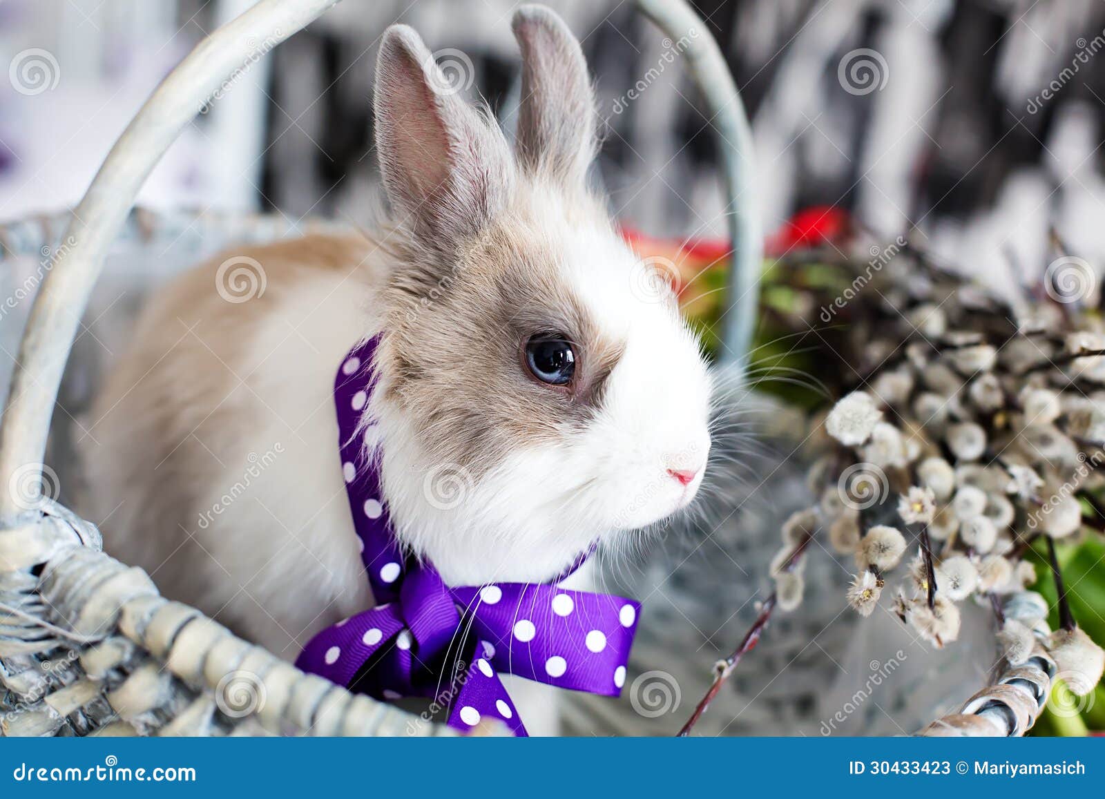 Easter rabbit stock image. Image of cute, basket, animal - 30433423