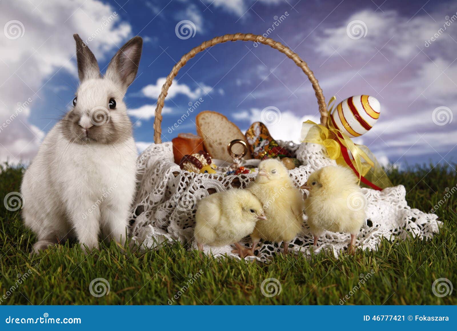 Easter, Rabbit, Chick, Nestling Stock Image - Image of bunny, daisy ...