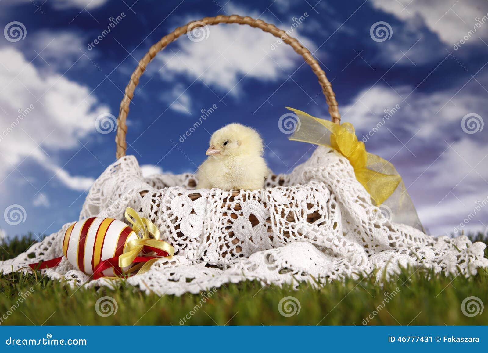 Easter, Rabbit, Chick, Nestling Stock Image - Image of nestling ...
