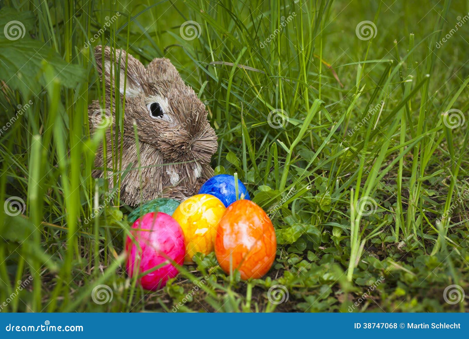Easter rabbit stock photo. Image of rabbit, long, wild - 38747068