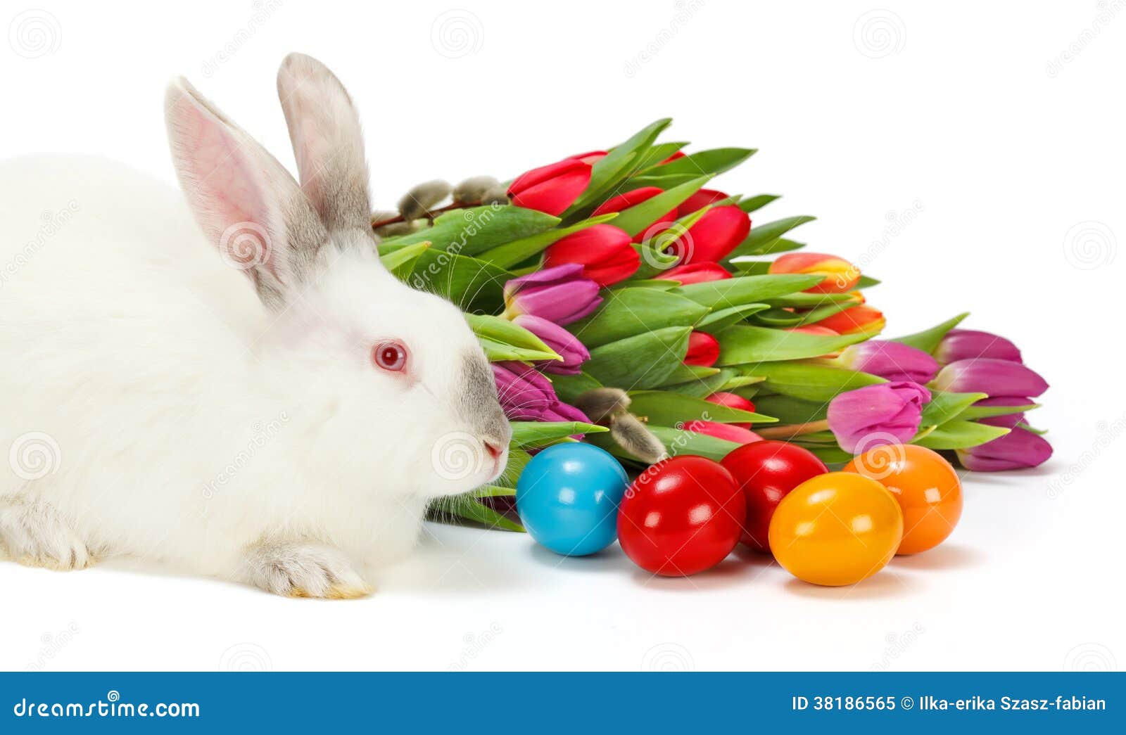 Easter Rabbit and Colorful Eggs Stock Image - Image of spring, bunny ...