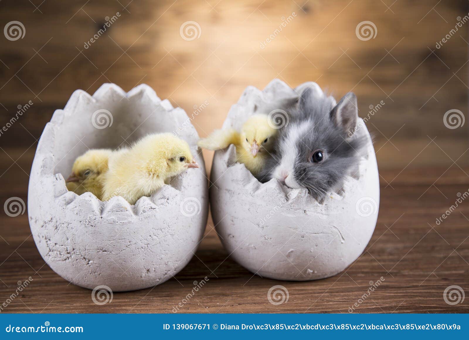 Easter Rabbit in Egg Shells. Stock Image - Image of miniature, sangre ...