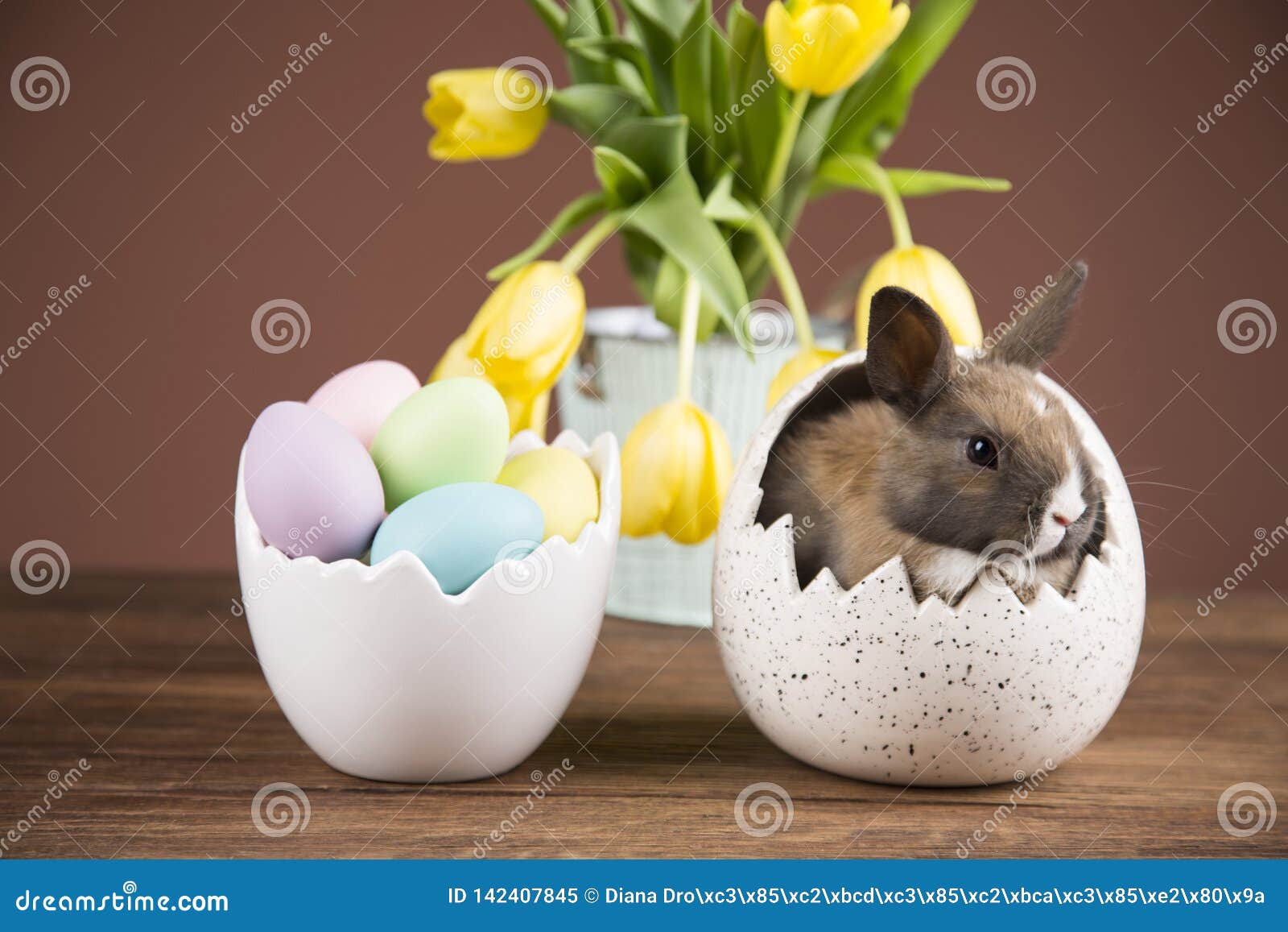 Easter Rabbit in the Shell of Eggs. Colorful Eggs. Yellow Tulips. Stock ...