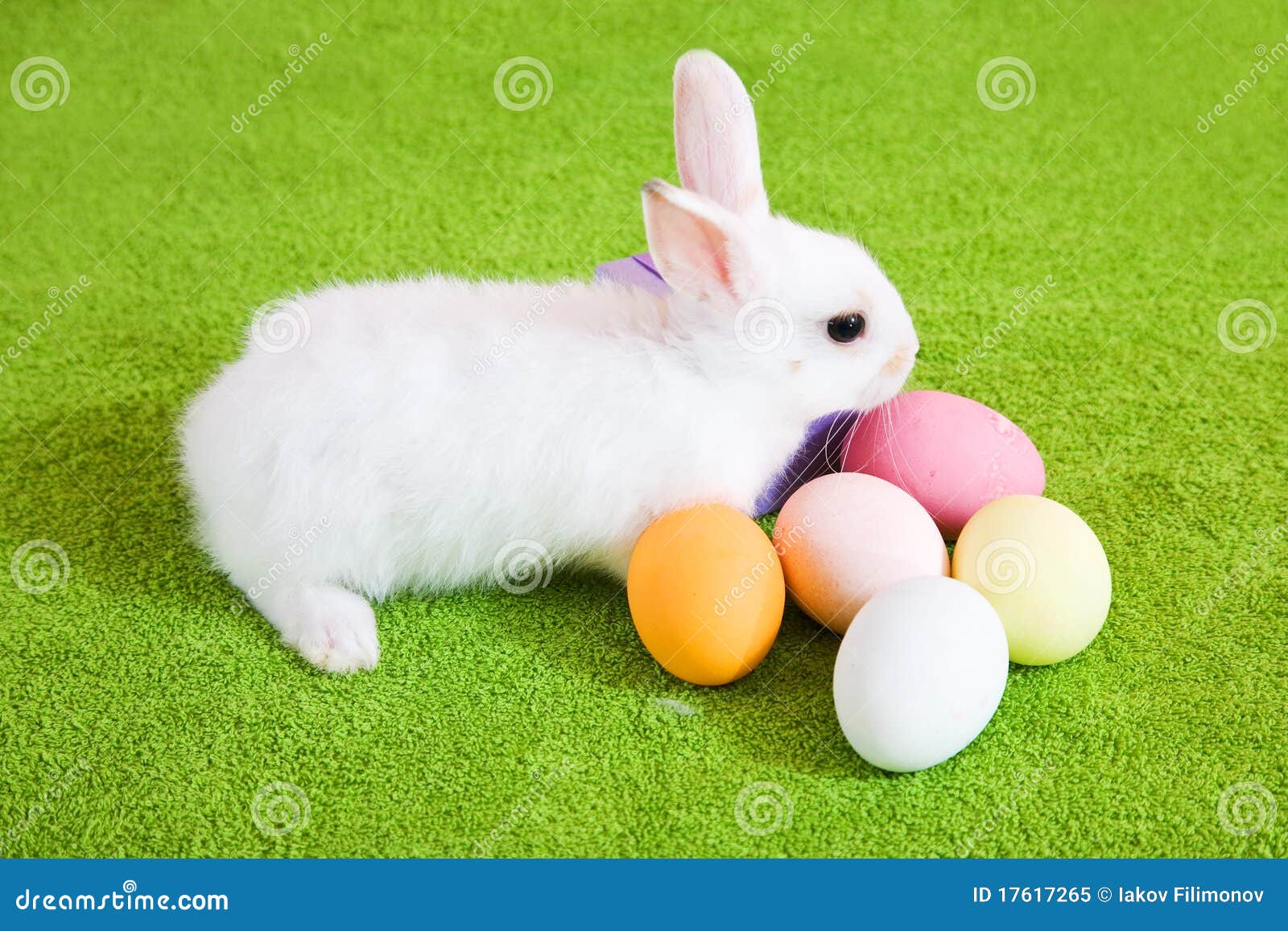 Easter rabbit with eggs stock image. Image of grass, easter - 17617265