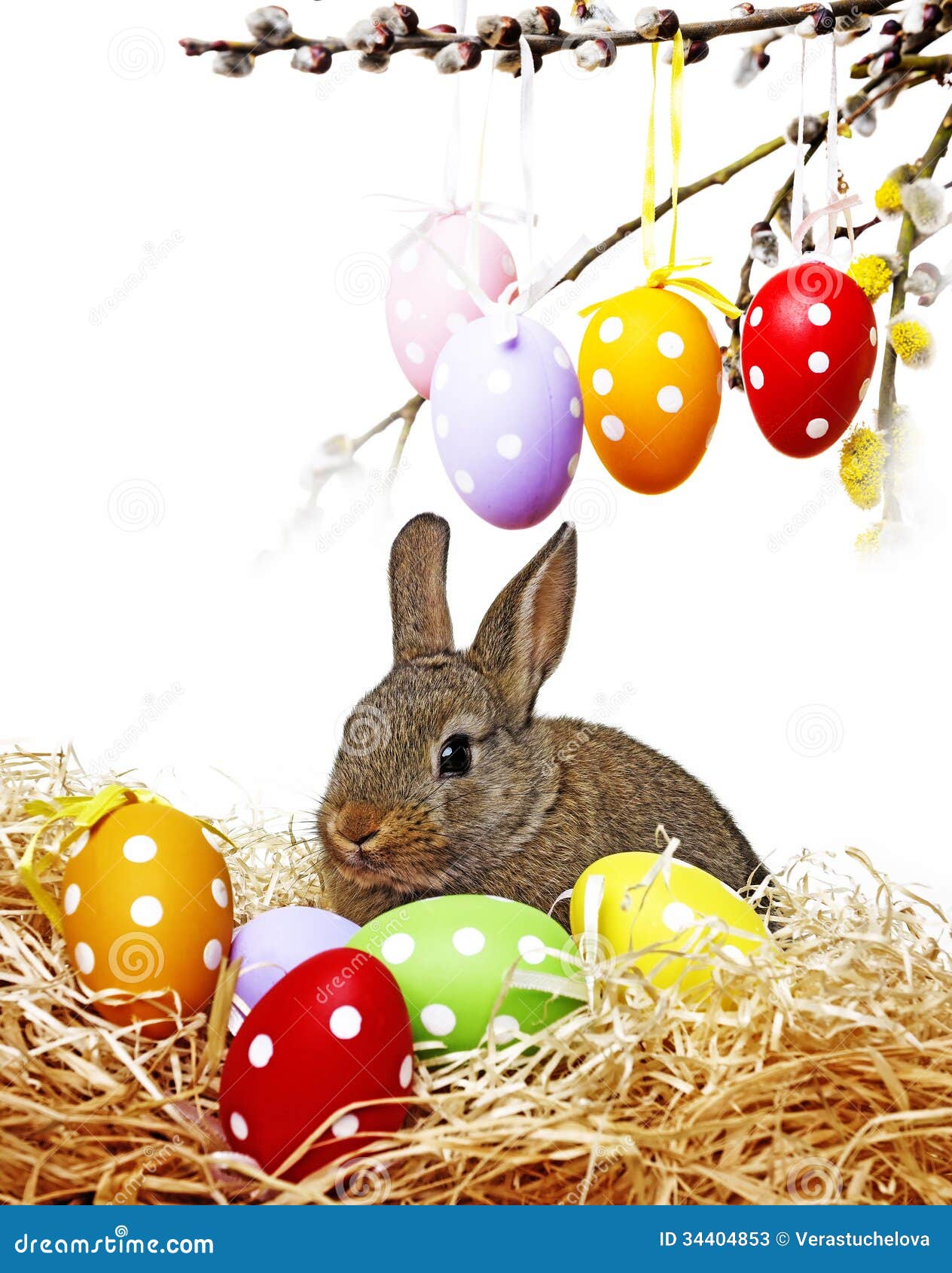 Easter rabbit and eggs stock image. Image of celebration - 34404853