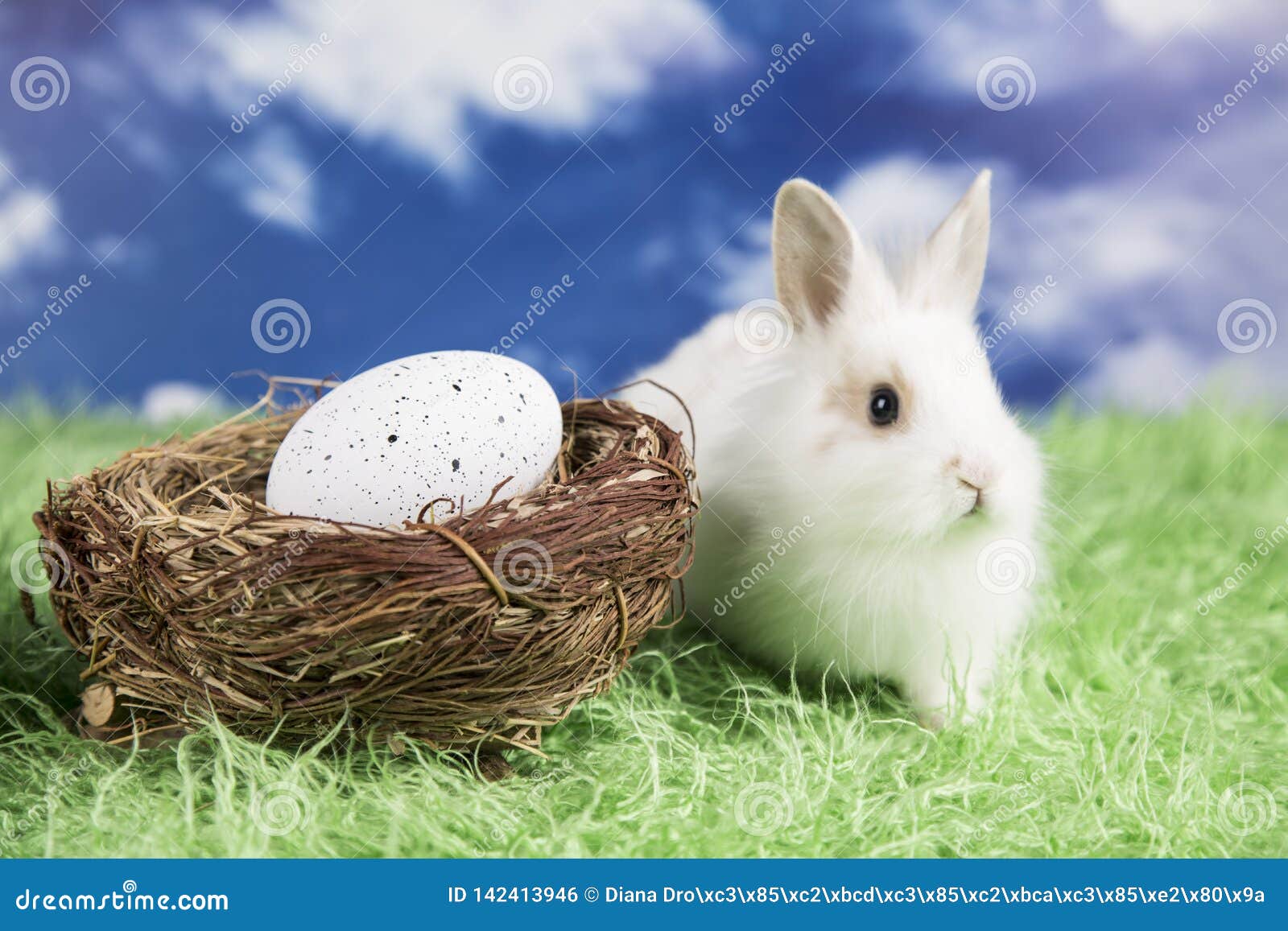 Easter Rabbit in a Shell of Eggs. Colorful Eggs. Green Grass, Flowers ...