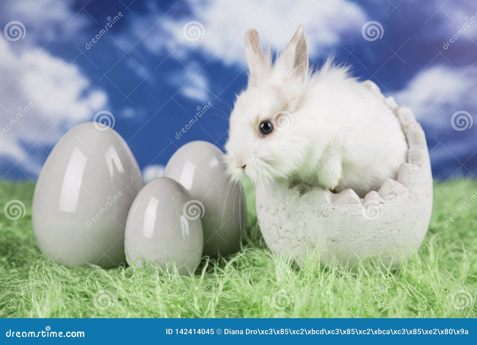 Easter Rabbit in a Shell of Eggs. Colorful Eggs. Green Grass, Flowers ...