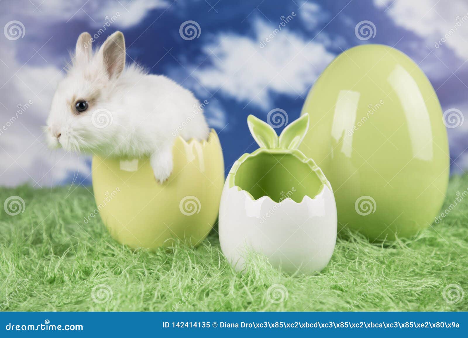Easter Rabbit in a Shell of Eggs. Colorful Eggs. Green Grass, Flowers ...