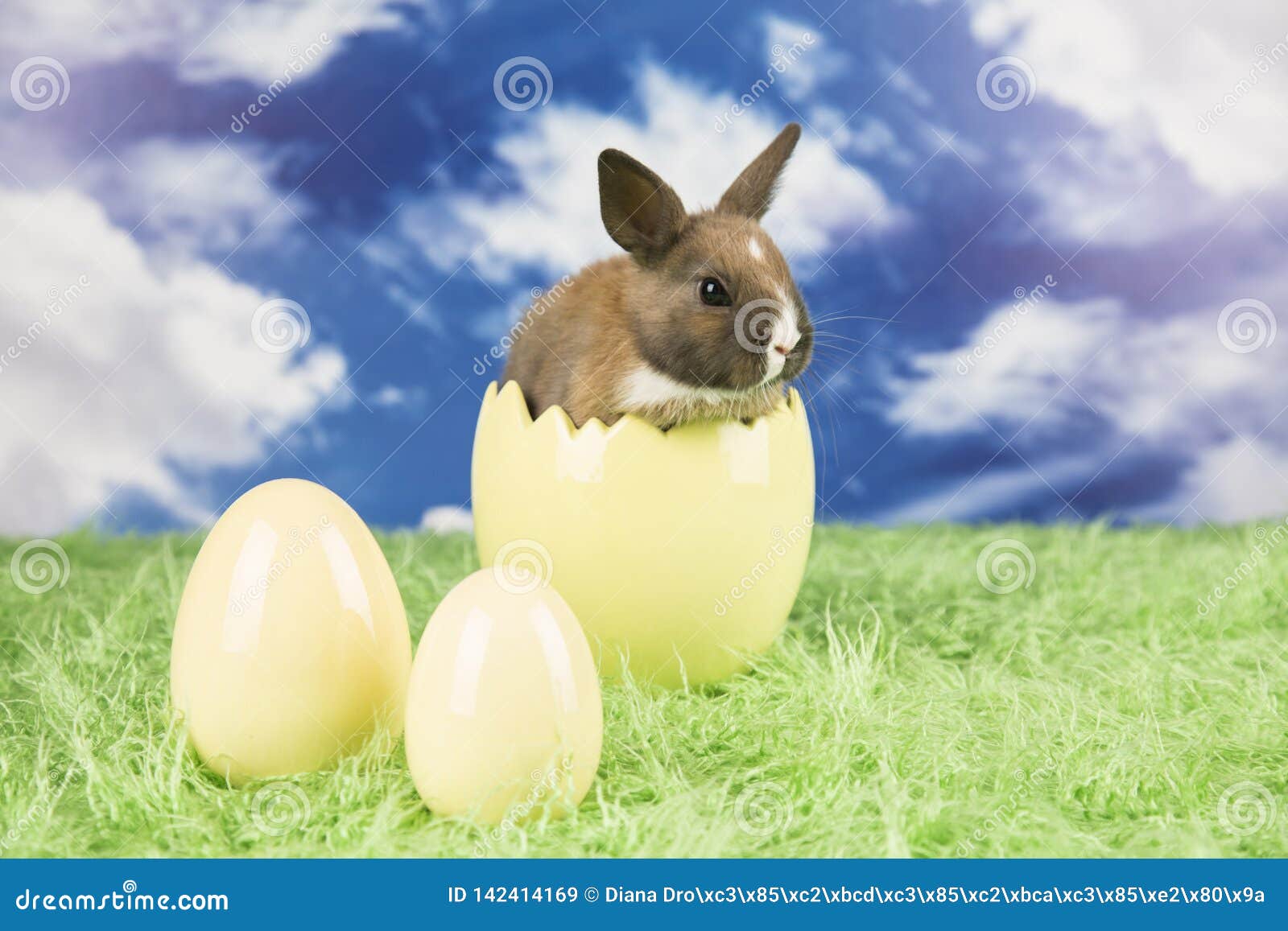 Easter Rabbit in a Shell of Eggs. Colorful Eggs. Green Grass, Flowers ...