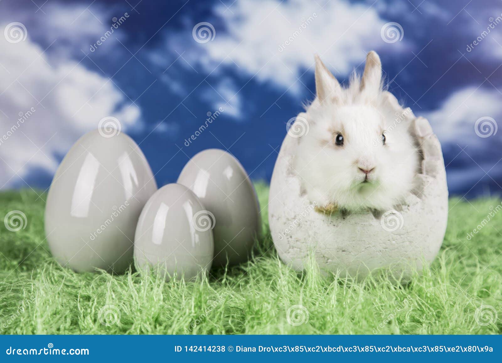 Easter Rabbit in a Shell of Eggs. Colorful Eggs. Green Grass, Flowers ...