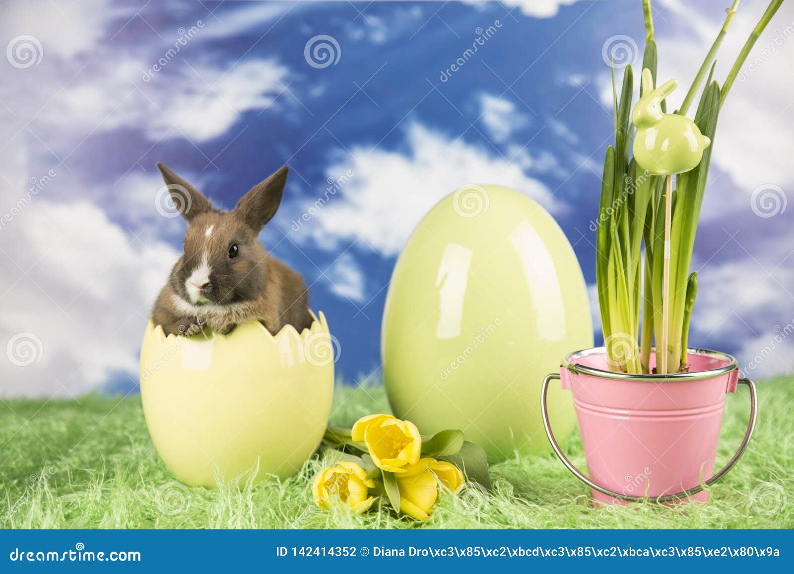 Easter Rabbit in a Shell of Eggs. Colorful Eggs. Green Grass, Flowers ...