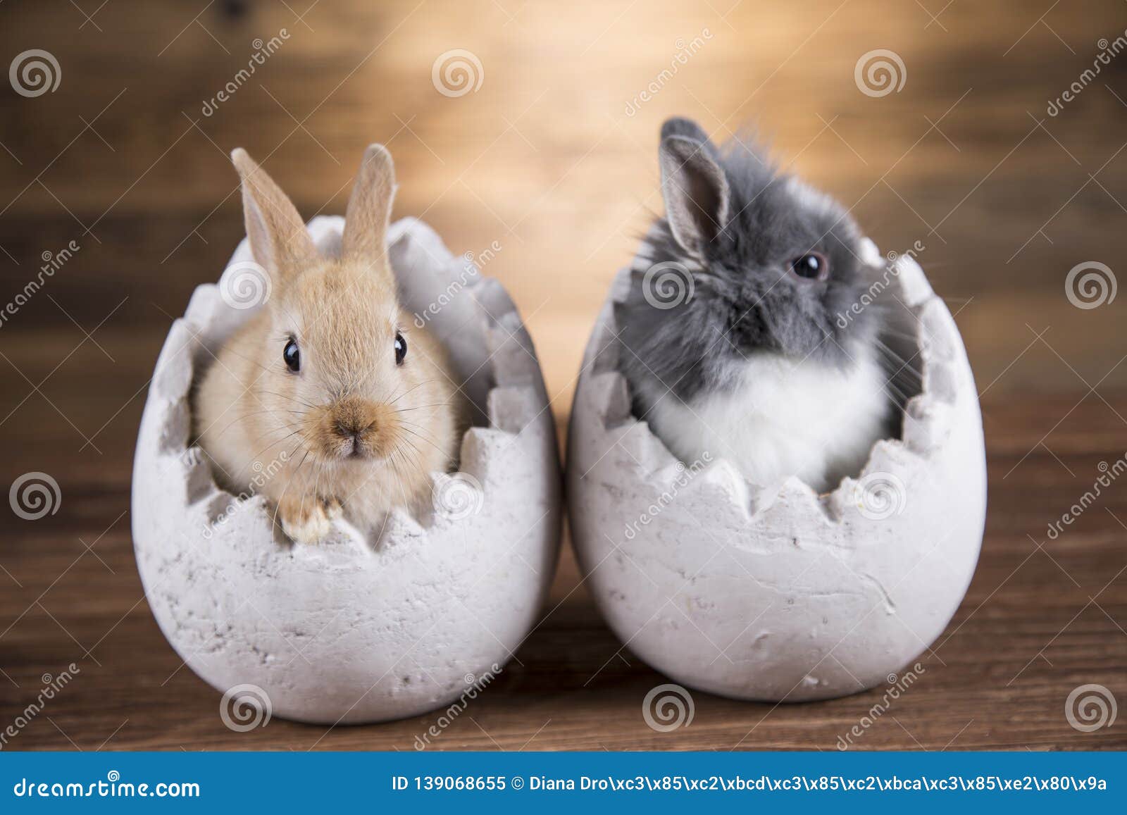 Easter Rabbit in a Shell of Eggs Stock Image - Image of colorful ...