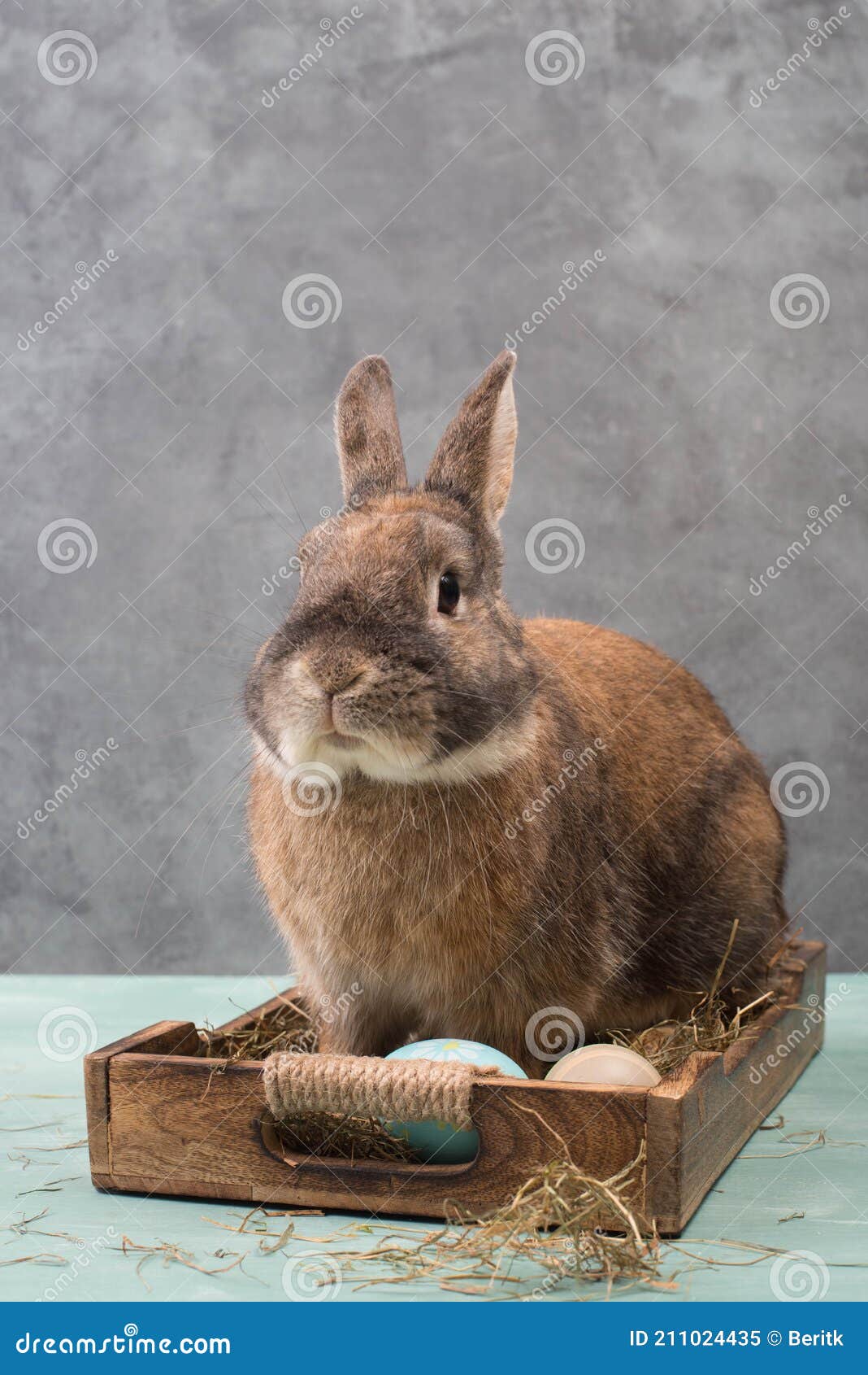 Easter Rabbit Sitting in a Basket with Hay and Colored Eggs, Empty Copy ...