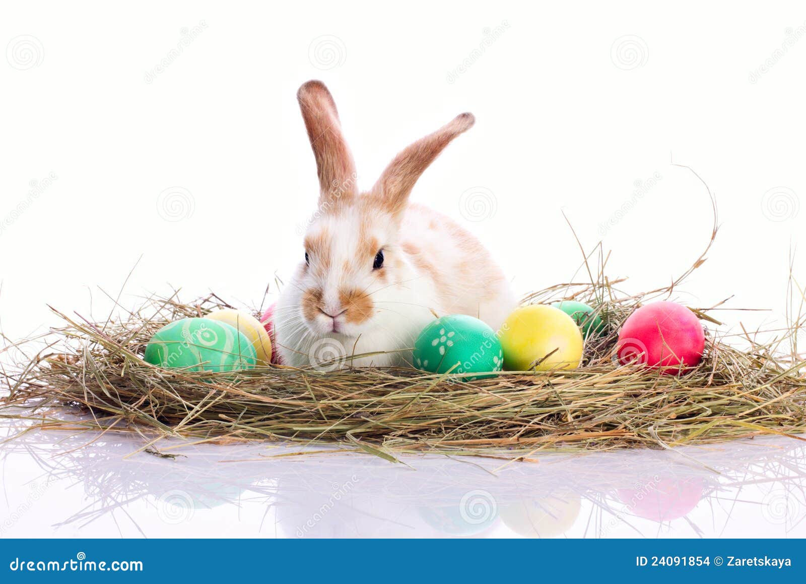 Easter Rabbit in Velour Grasses Stock Photo - Image of fancy ...