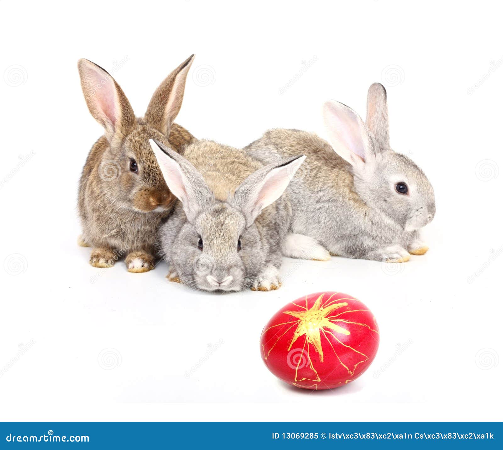Easter rabbits stock image. Image of observing, nosing - 13069285