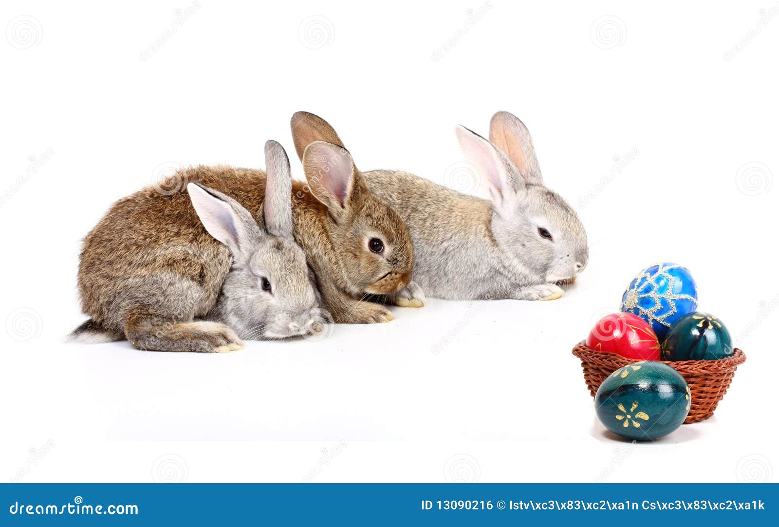 Easter rabbits stock photo. Image of adorable, pretty - 13090216