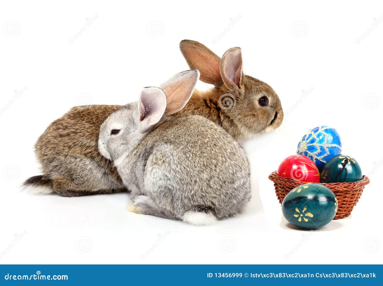 Easter rabbits stock image. Image of pretty, beautiful - 13456999