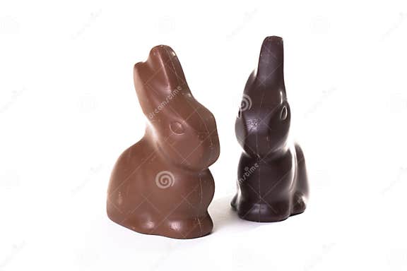 Easter Rabbits stock image. Image of gift, funny, bunny - 18512157