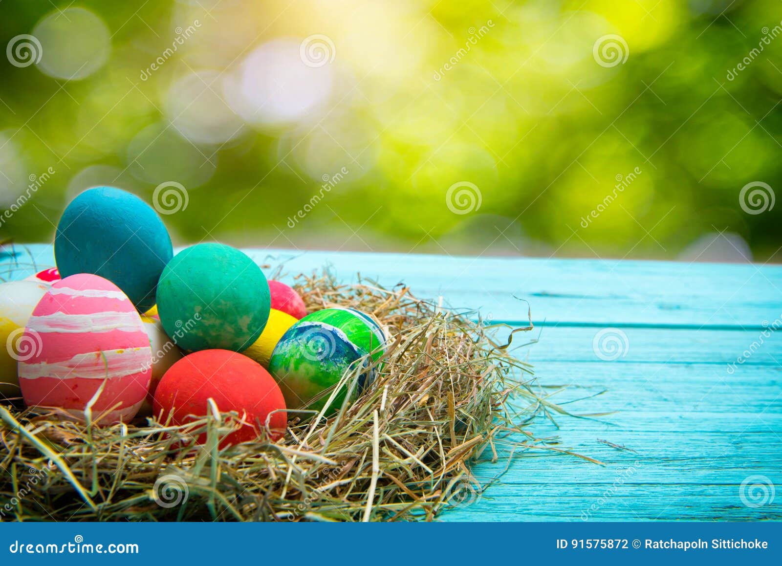 Easter, Row of Easter Eggs in Fresh Green Stock Photo - Image of nature ...