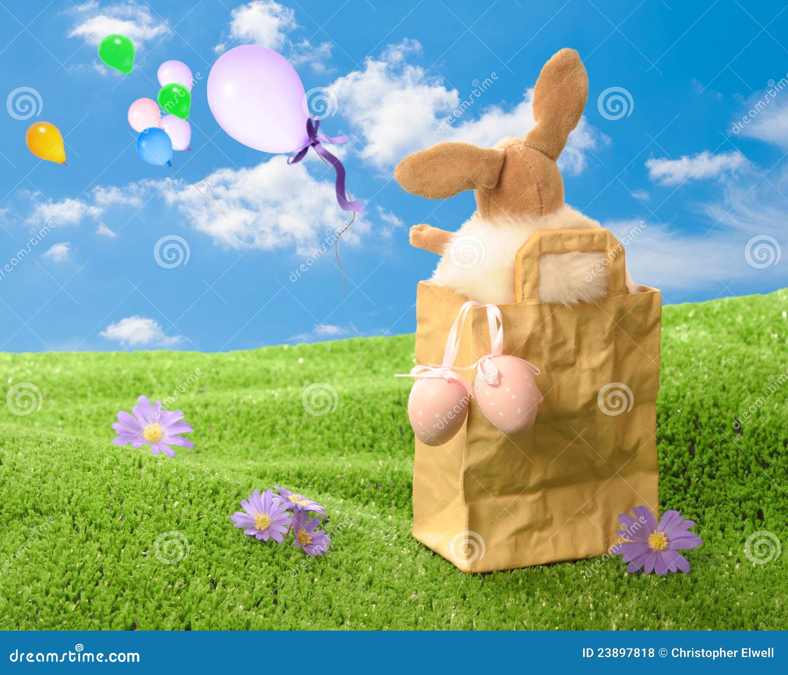 Easter Scene stock photo. Image of rabbit, grass, scene - 23897818
